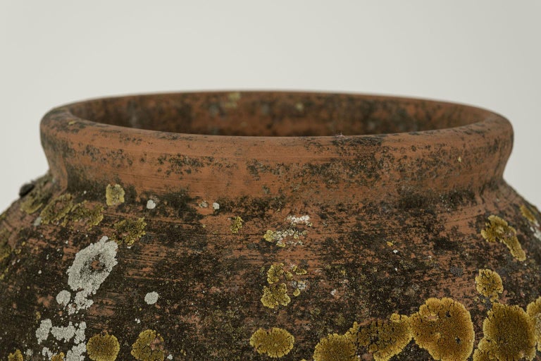 Antique Urn-Shape Terracotta Pot at 1stDibs | old urn, terracotta urn ...