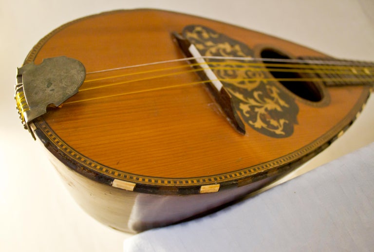 Antique Victorian Bowl-Back Mandolin at 1stDibs | vintage bowl back ...