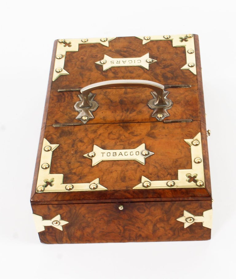 Antique Victorian Burr-Walnut and Brass Mounted Cigar Box, 19th Century ...