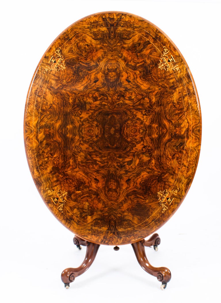 Antique Victorian Burr Walnut Oval Loo Table 19th Century at 1stDibs
