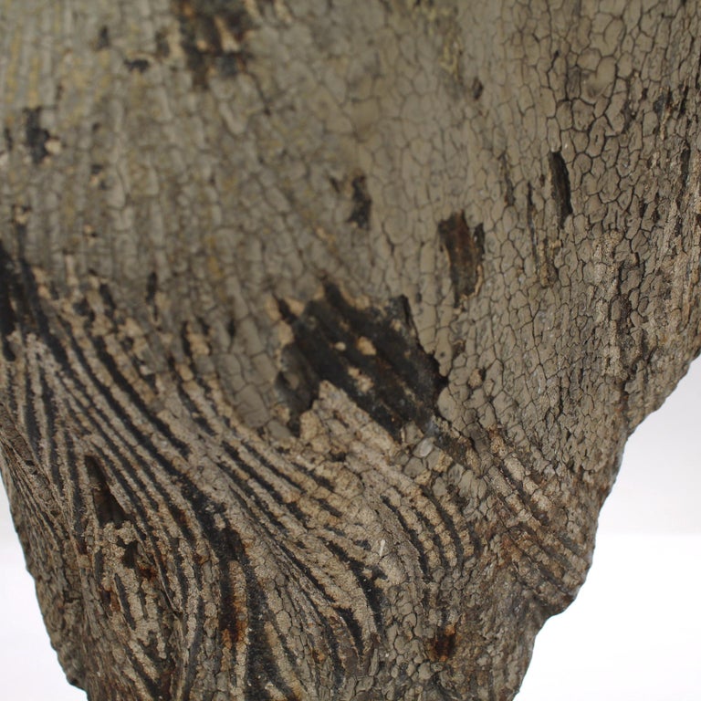 Antique Victorian Cast Iron Architectural Mask with White Paint For ...