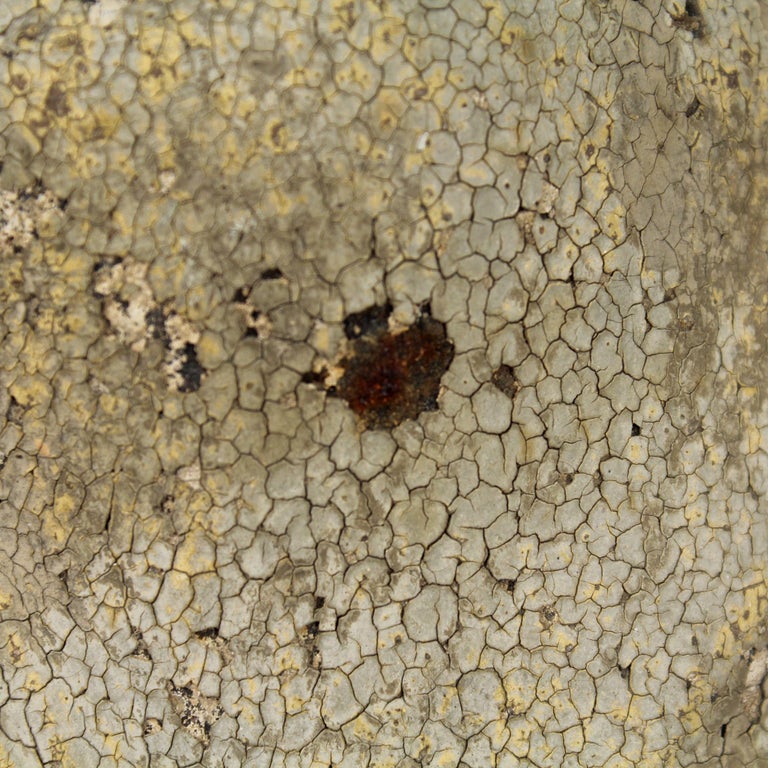 Antique Victorian Cast Iron Architectural Mask with White Paint For ...