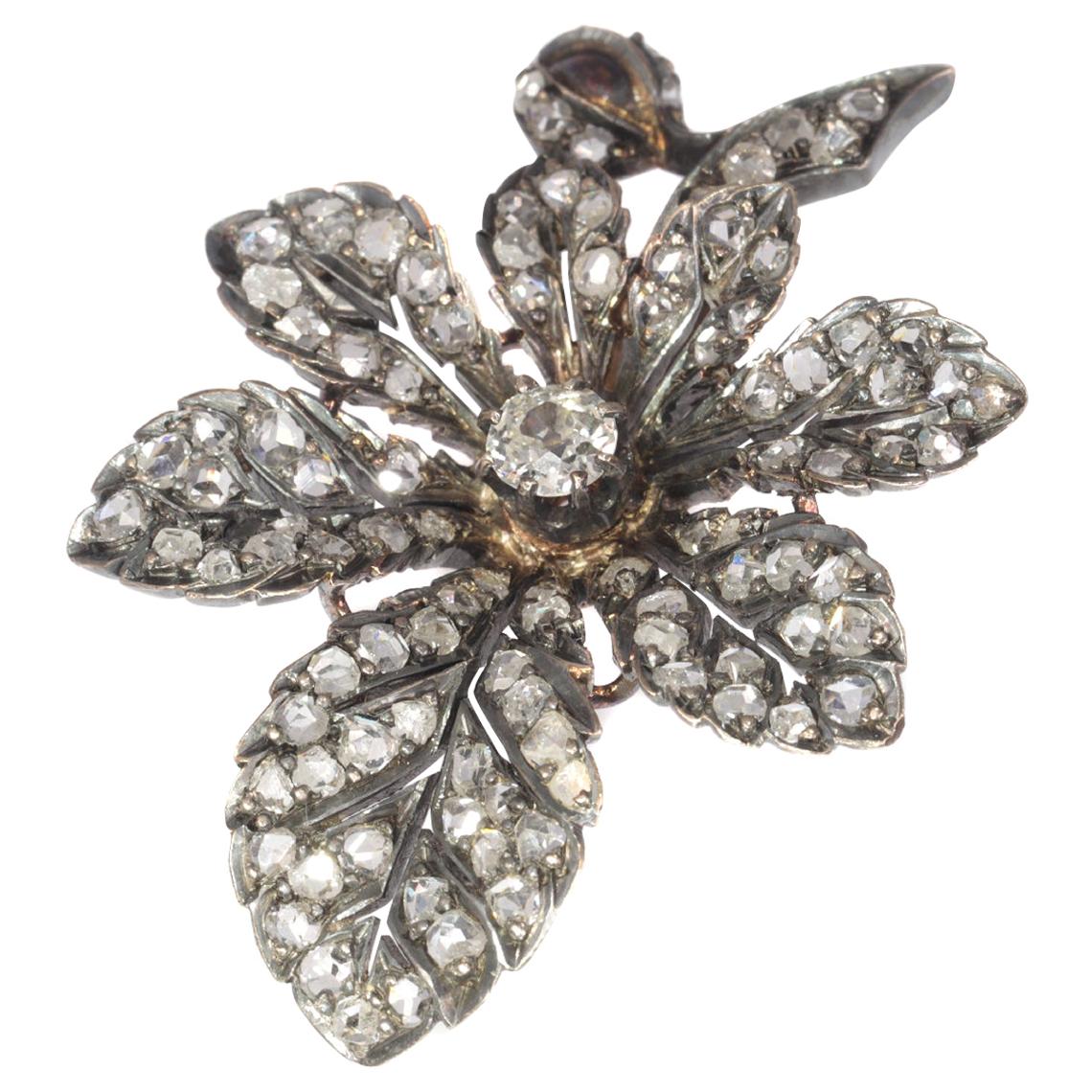 Antique Victorian Chestnut Leaf Brooch Fully Embellished with over 100 ...