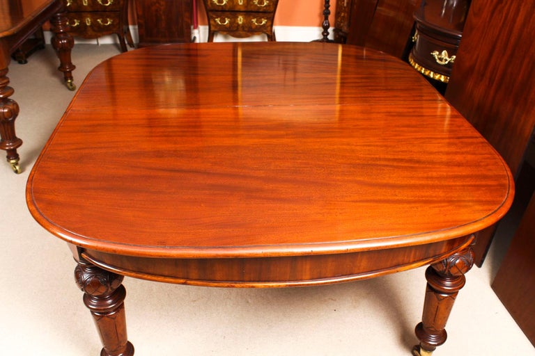 Antique Victorian D-End Mahogany Dining Table and 14 Chairs, 19th ...