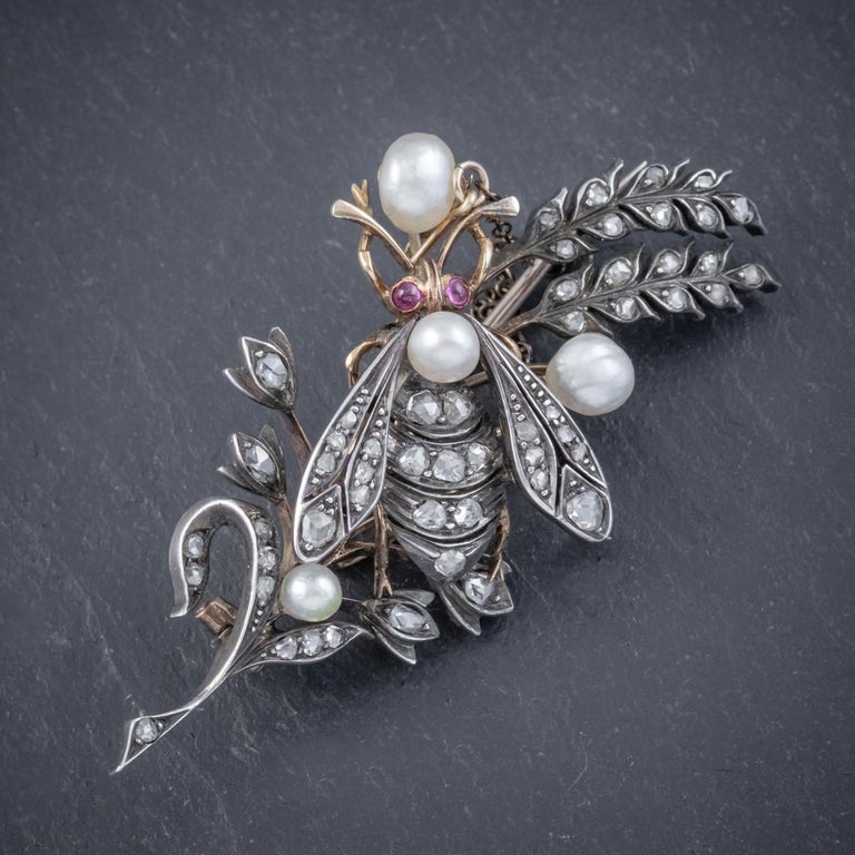 Antique Victorian Diamond Pearl Insect Brooch 18ct Gold Silver 2ct Rose ...