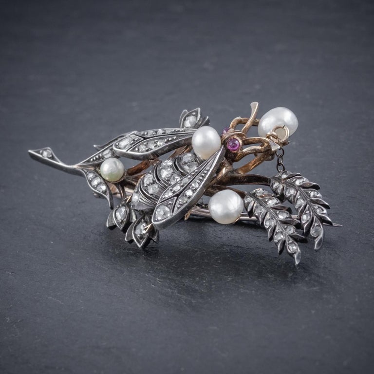 Antique Victorian Diamond Pearl Insect Brooch 18ct Gold Silver 2ct Rose ...