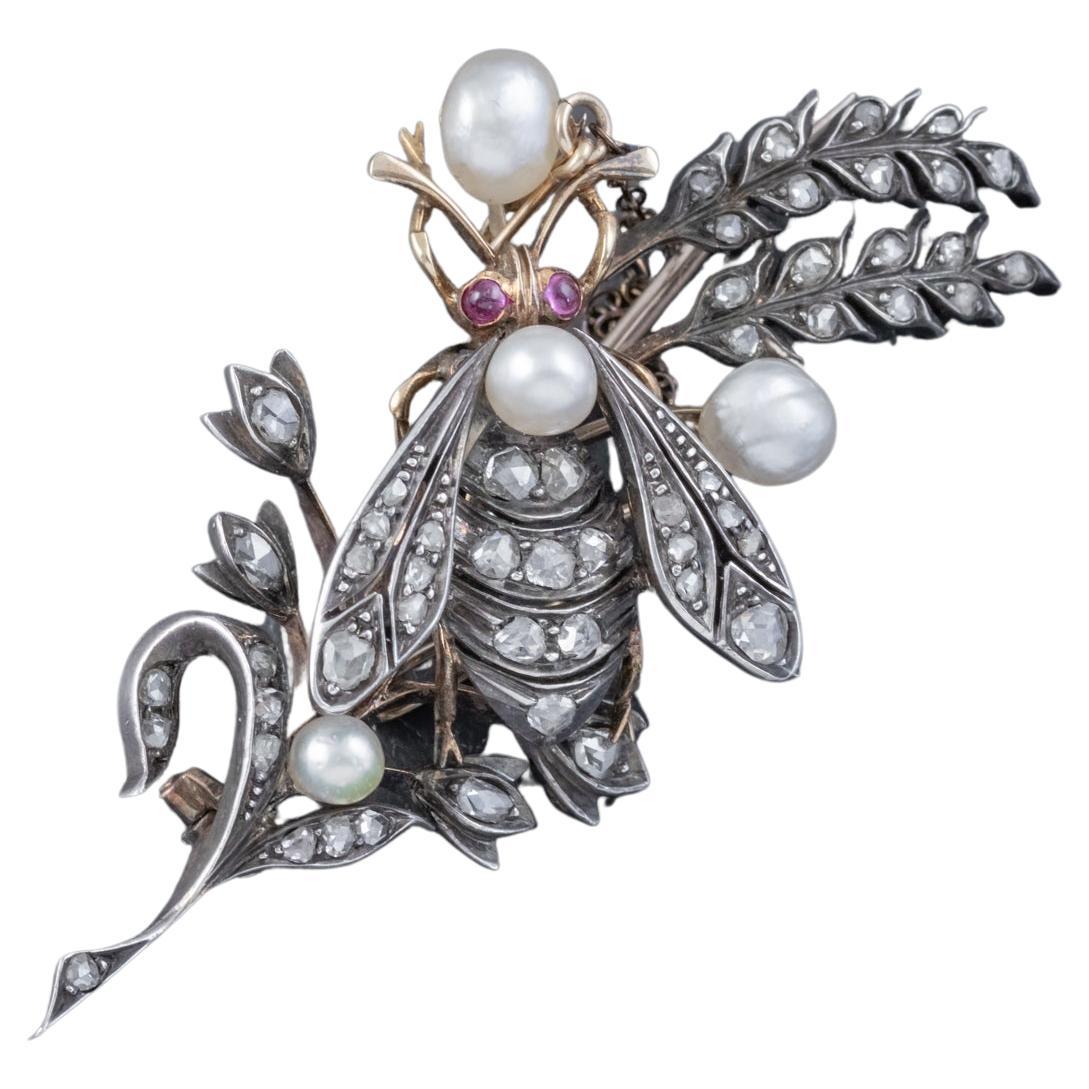 Antique Victorian Diamond Pearl Insect Brooch 18ct Gold Silver 2ct Rose ...