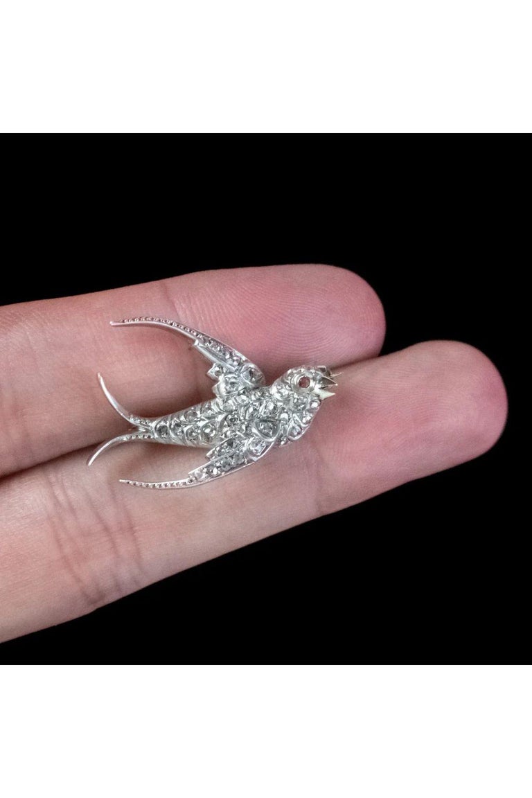 Antique Victorian Diamond Swallow Brooch, circa 1880–1900 For Sale at ...