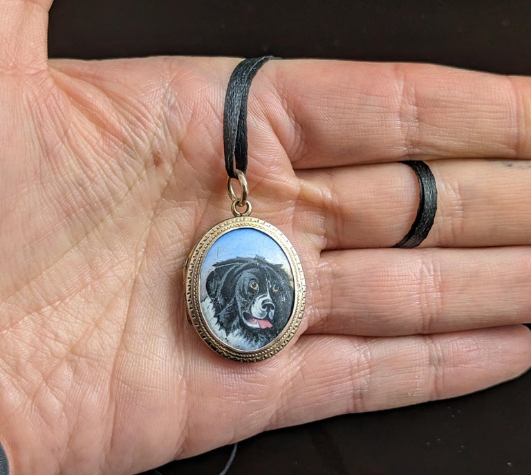Antique Victorian Dog Portrait Locket, 9k Gold Front and Back For Sale ...
