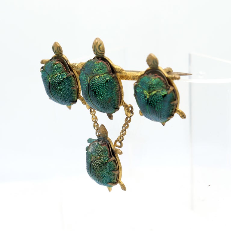Antique Victorian Gold Filled Turtles Brooch with Egyptian Scarab ...