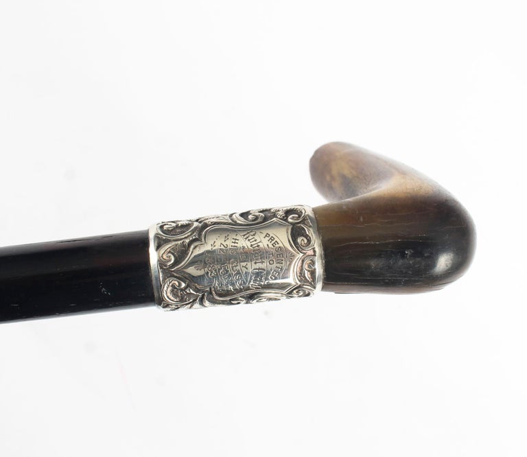 Antique Victorian Horn Handled Walking Cane Stick Silver Handle, 19th ...