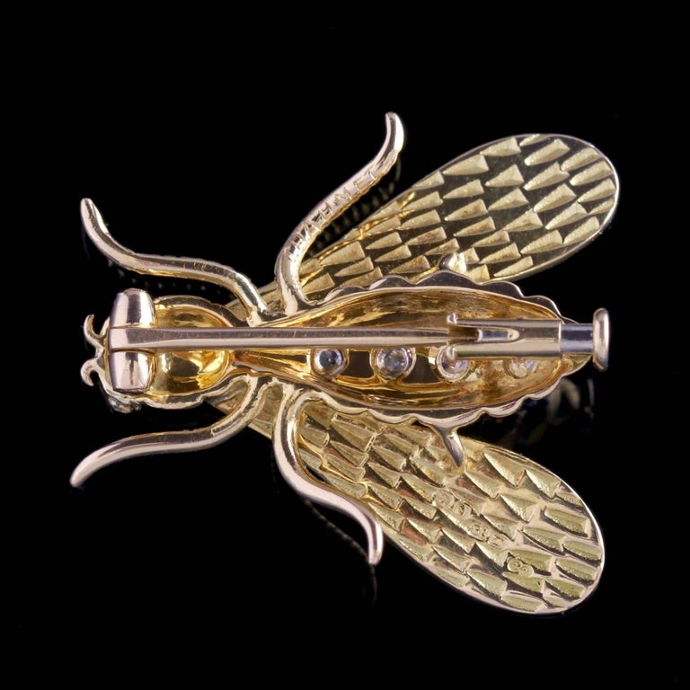 Antique Victorian Insect Brooch 18 Carat Gold Diamond, circa 1900 at ...