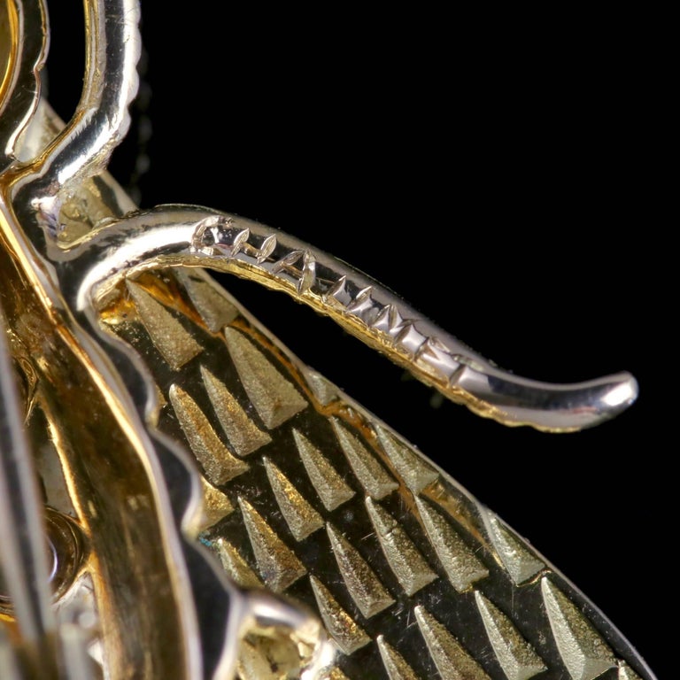 Antique Victorian Insect Brooch 18 Carat Gold Diamond, circa 1900 at ...