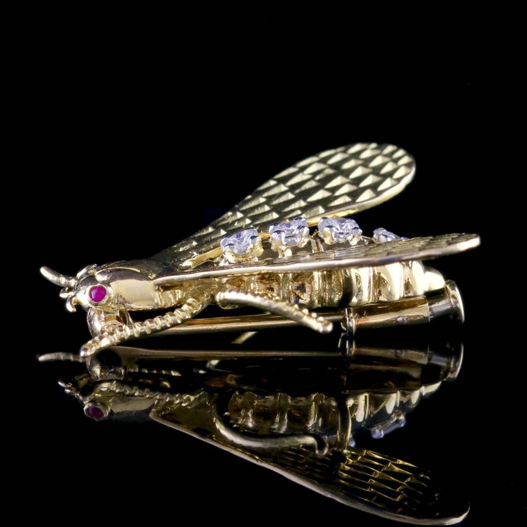 Antique Victorian Insect Brooch 18 Carat Gold Diamond, circa 1900 at ...