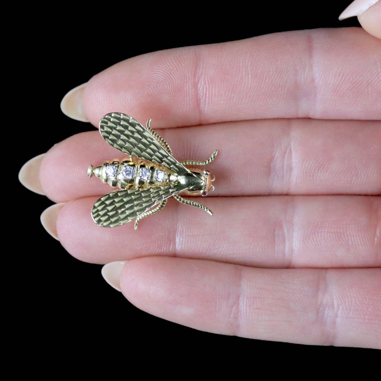 Antique Victorian Insect Brooch 18 Carat Gold Diamond, circa 1900 at ...