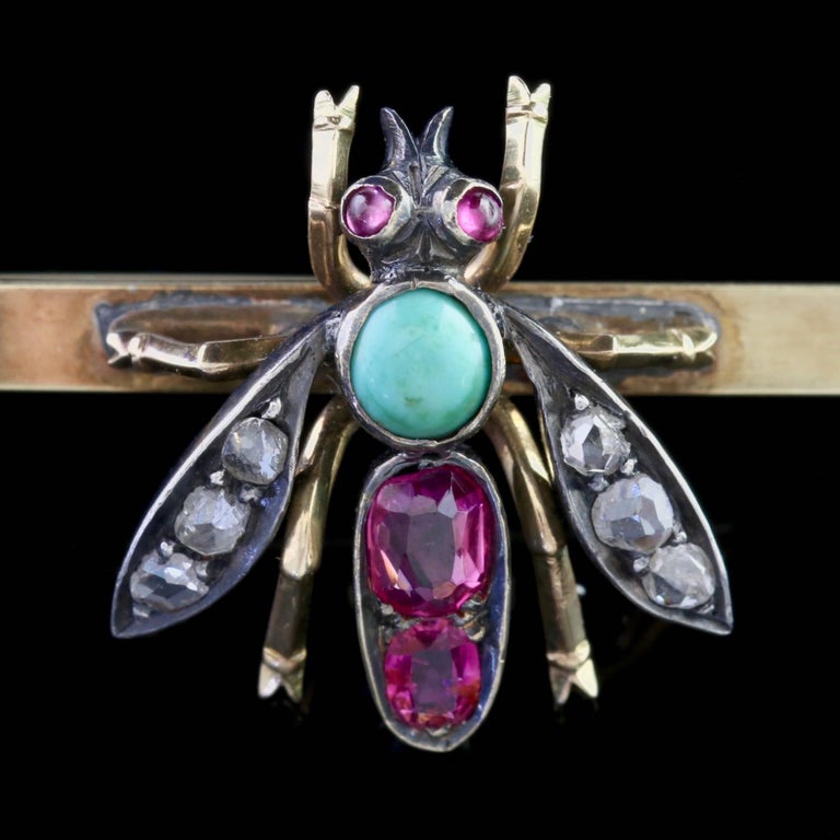 Antique Victorian Insect Brooch Diamond Ruby Turquoise, circa 1900 For ...