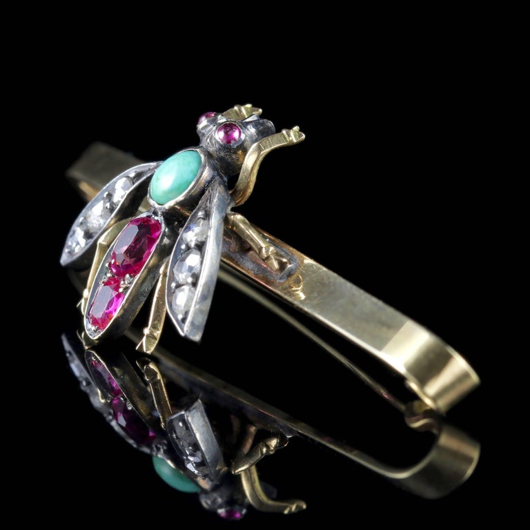 Antique Victorian Insect Brooch Diamond Ruby Turquoise, circa 1900 For ...