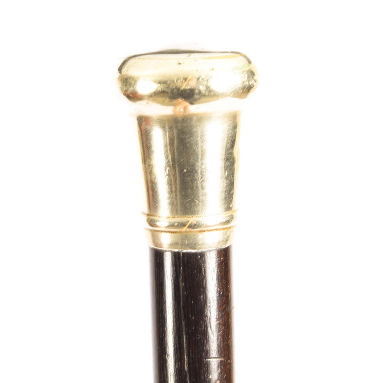 Antique Victorian Mahogany Walking Stick Cane, 19th Century at 1stDibs ...