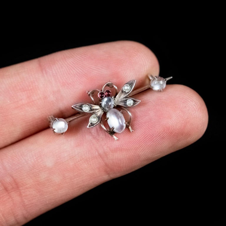 Antique Victorian Moonstone Insect Brooch Silver, circa 1900 at 1stDibs