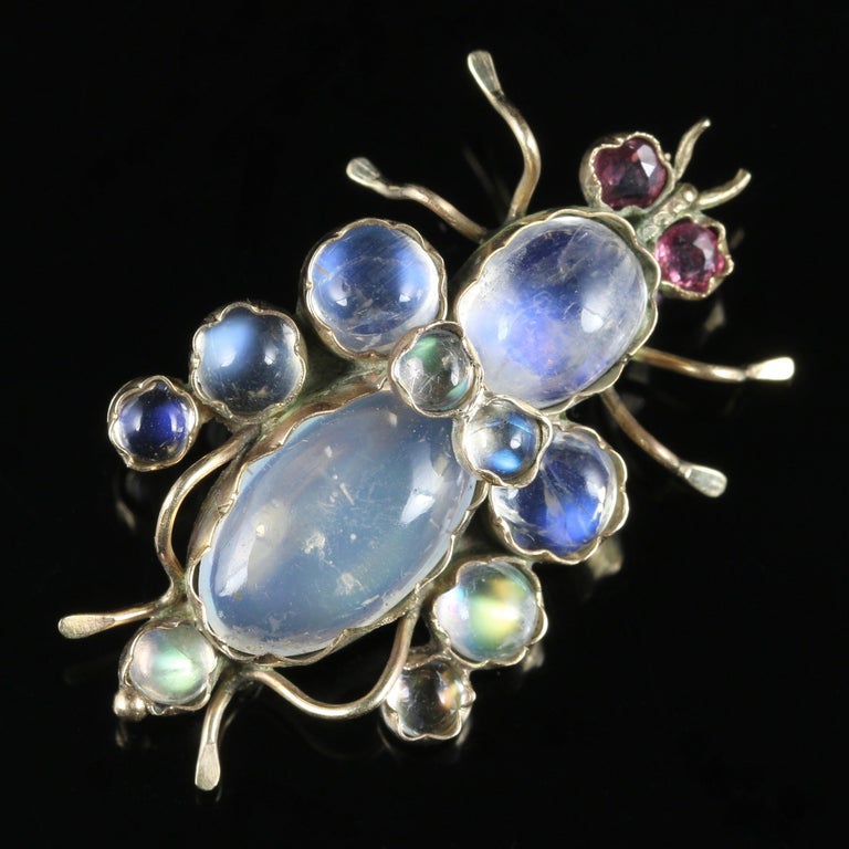 Antique Victorian Moonstone Ruby Bug Brooch 9 Carat Gold For Sale at ...
