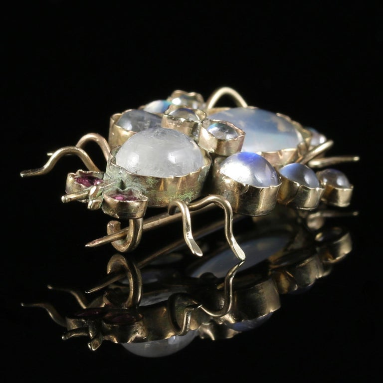Antique Victorian Moonstone Ruby Bug Brooch 9 Carat Gold For Sale at ...