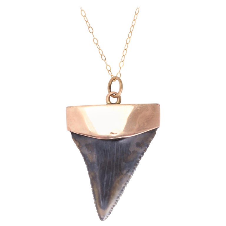 Antique Victorian Shark Tooth Pendant at 1stDibs