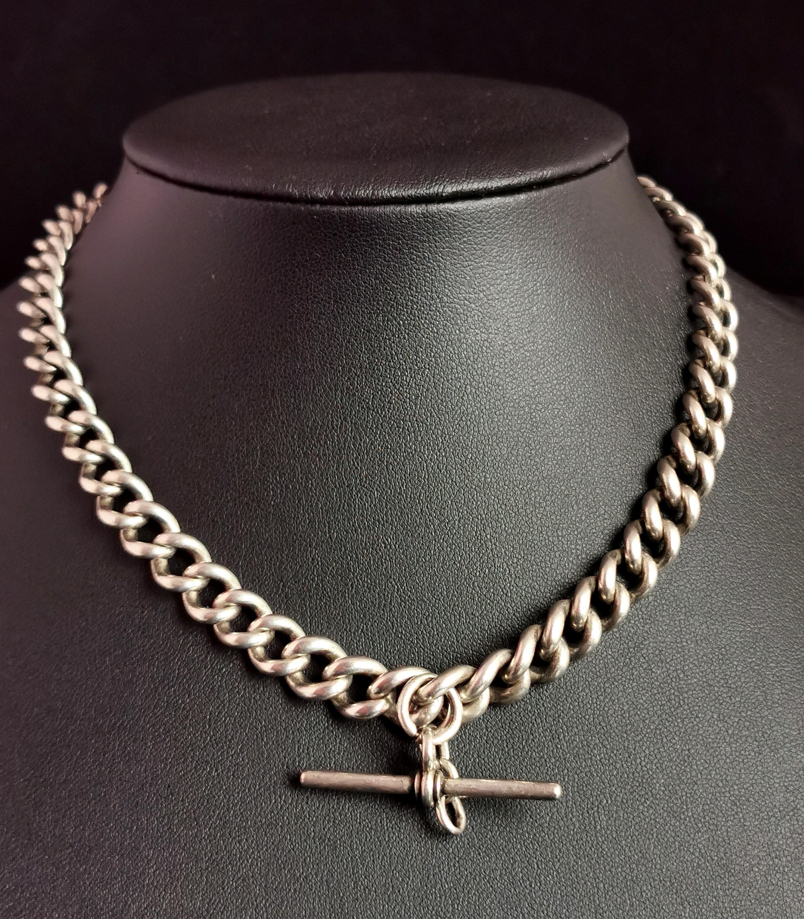 Antique Victorian Silver Albert Chain, Watch Chain at 1stDibs