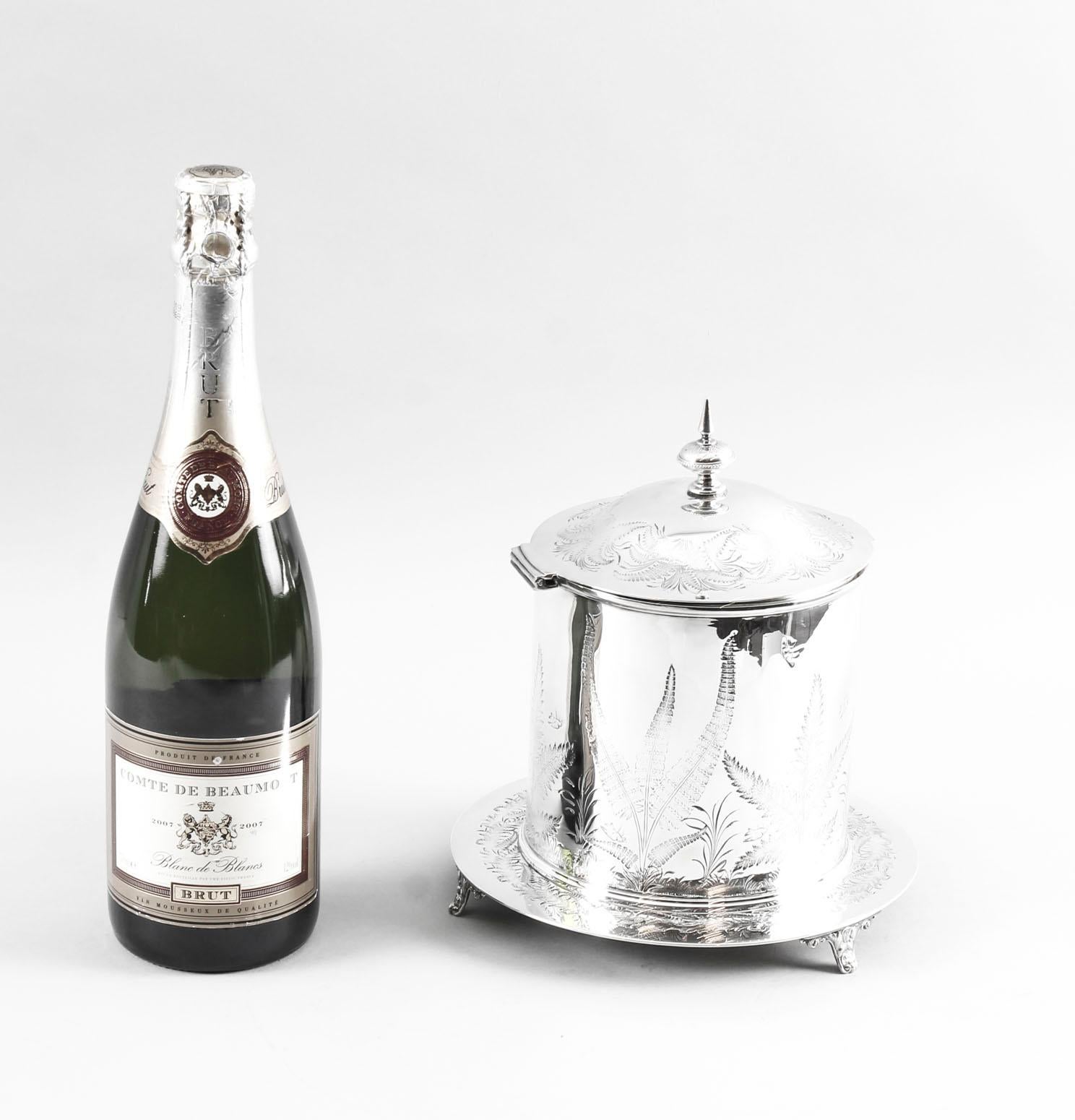 Antique Victorian Silver Plated Biscuit Sweet Box, 19th Century at 1stDibs