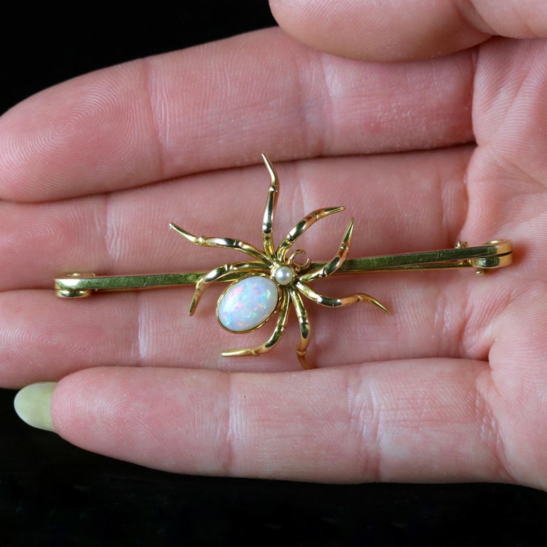 Antique Victorian Spider Brooch 15 Carat Gold, circa 1900 at 1stDibs ...