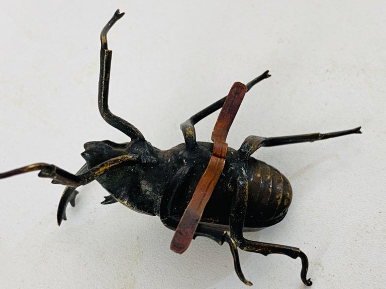Antique Vienna Bronze Sculpture of Beetles in Bergman Style Austria Set ...