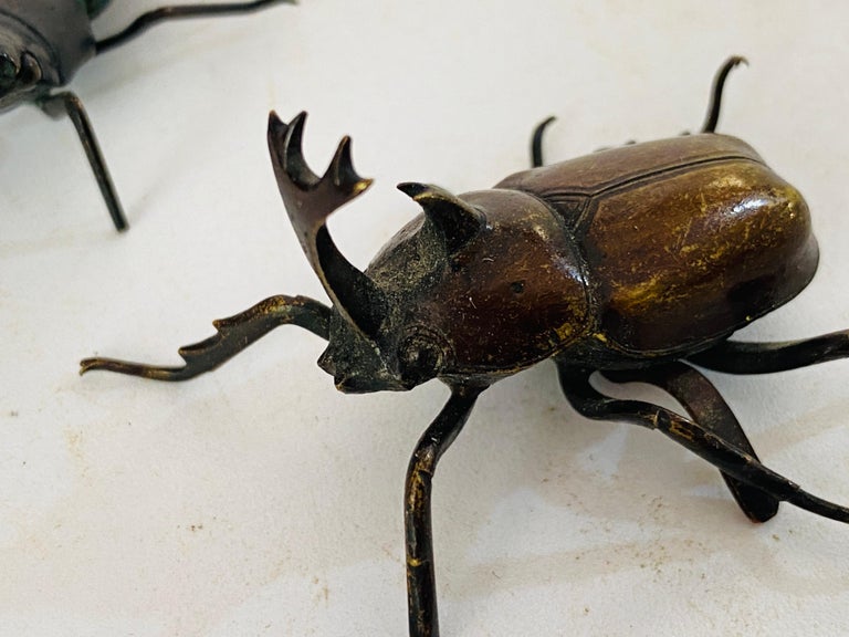Antique Vienna Bronze Sculpture of Beetles in Bergman Style Austria Set ...