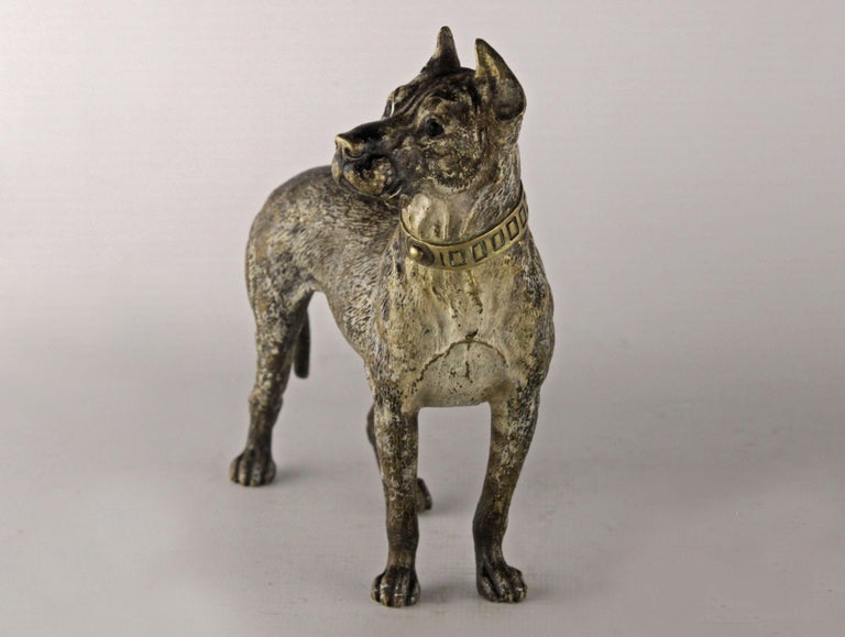 Antique Viennese Bronze Dog For Sale at 1stDibs