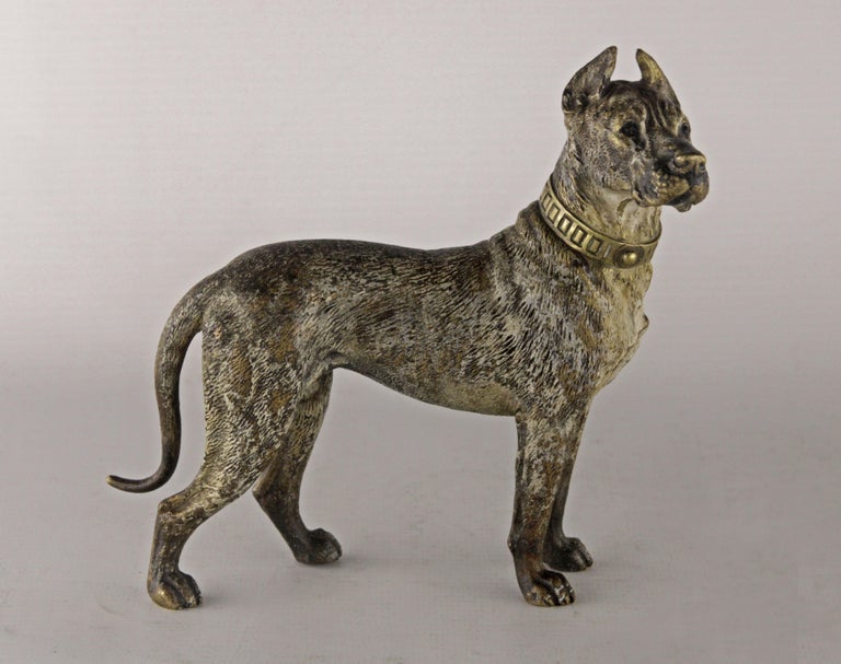 Antique Viennese Bronze Dog For Sale at 1stDibs