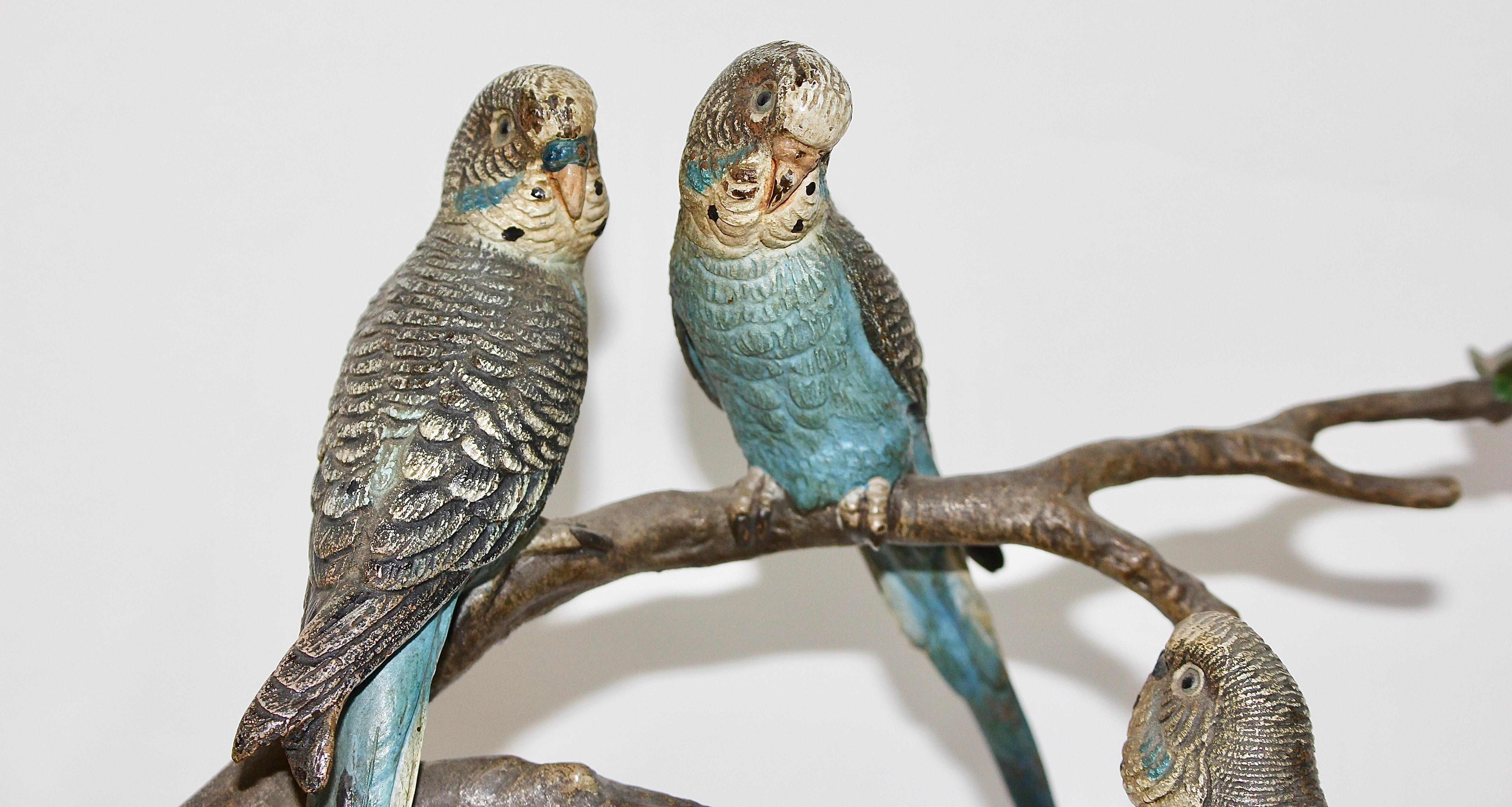 Antique Viennese Bronze Sculpture, Three Birds 'Budgerigars' on Tree ...