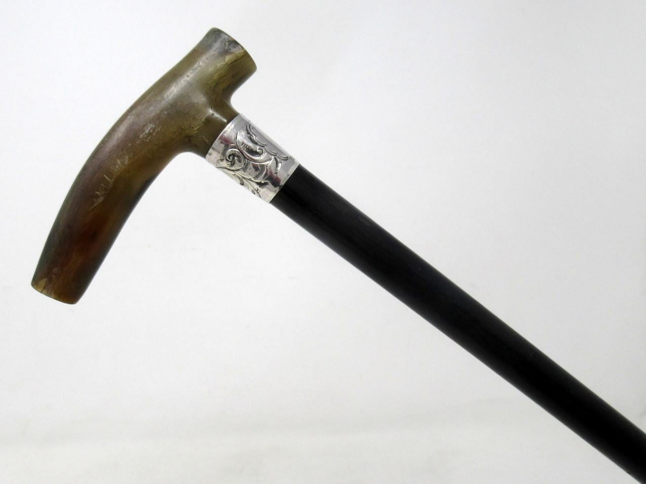 Antique Vintage Ladys Walking Stick Sterling Silver Collar Cow Horn ...