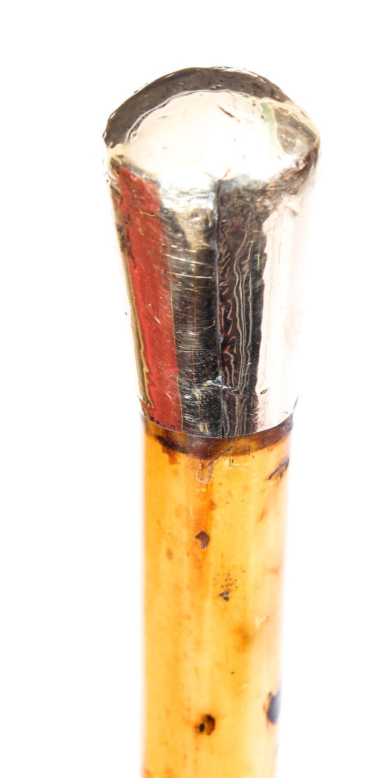 Antique Walking Stick Cane 9-Carat Gold Topped, Late 19 Century at 1stDibs