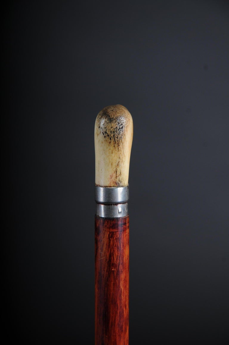 Antique Walking Stick/Cane, Germany with Around 1910 For Sale at 1stDibs