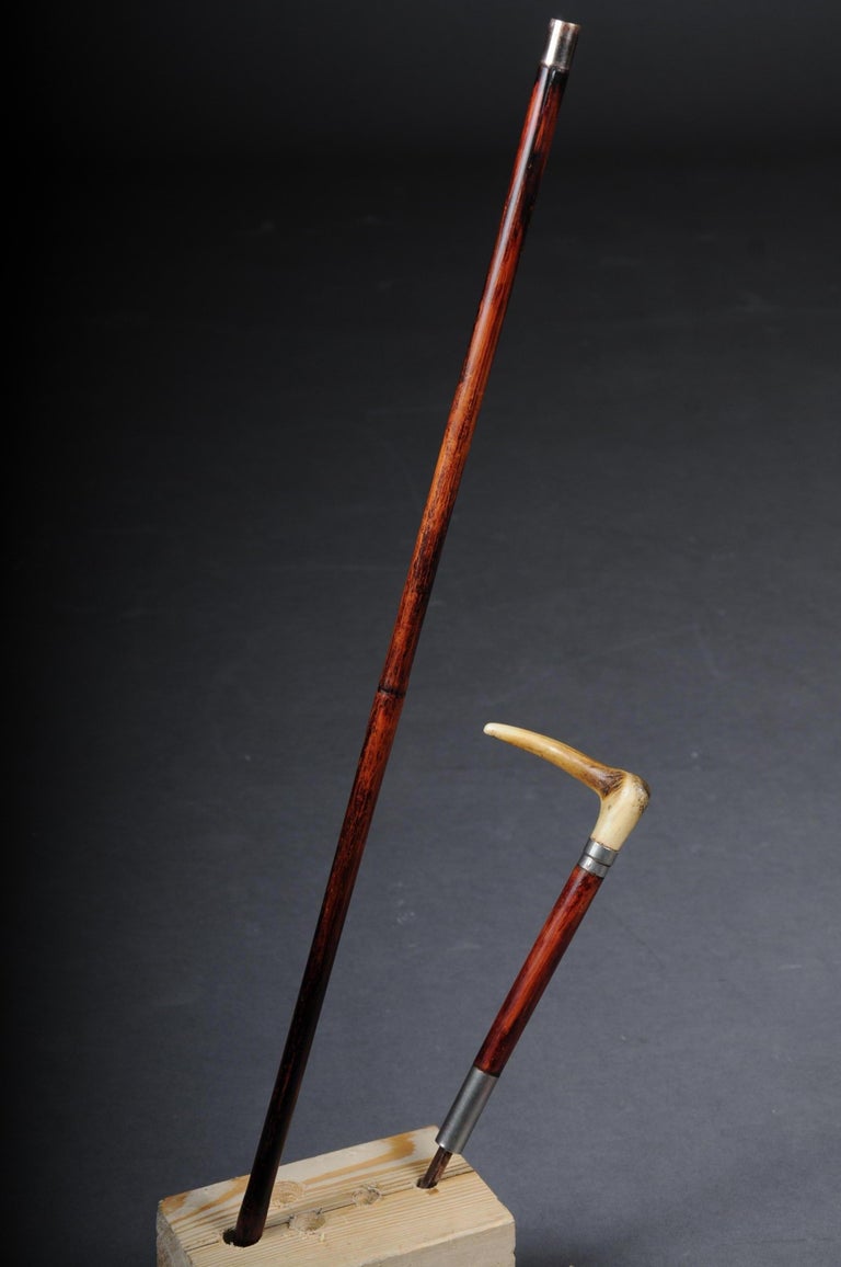 Antique Walking Stick/Cane, Germany with Around 1910 For Sale at 1stDibs