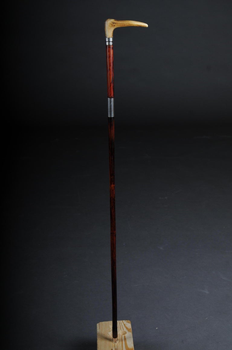 Antique Walking Stick/Cane, Germany with Around 1910 For Sale at 1stDibs