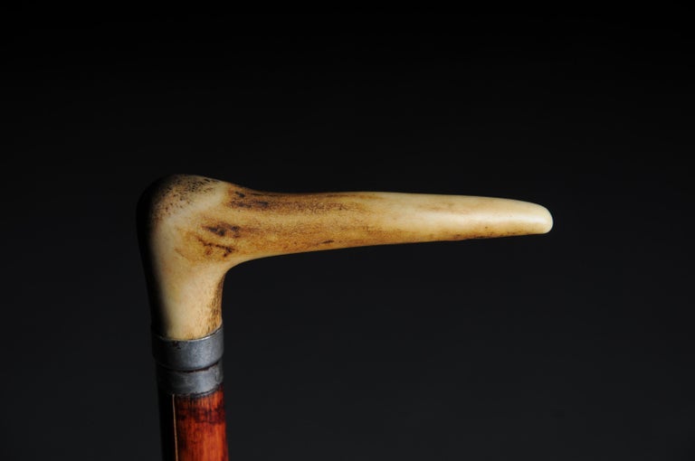 Antique Walking Stick/Cane, Germany with Around 1910 For Sale at 1stDibs