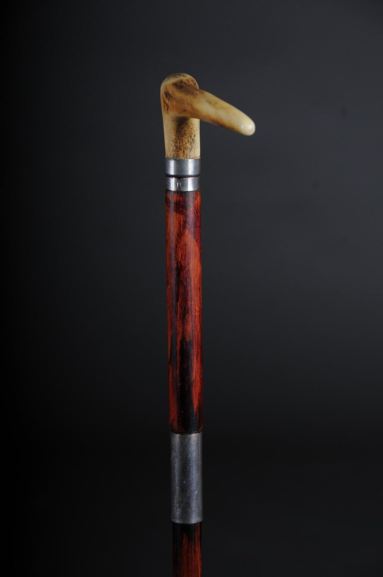 Antique Walking Stick/Cane, Germany with Around 1910 For Sale at 1stDibs