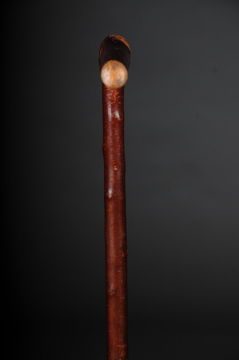 Antique Walking Stick/Cane, Germany with Around 1910 with Owner's Stamp ...