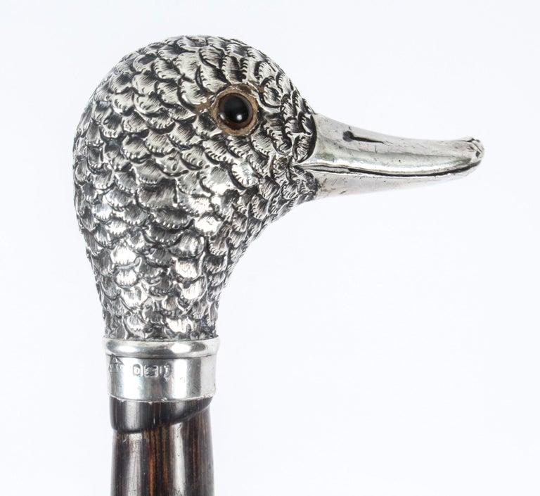 Antique Walking Stick Cane Sterling Silver Duck Head Handle 1938 20th C ...