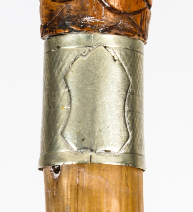 Antique Walking Stick Cane with Carved Duck Head 19th C at 1stDibs