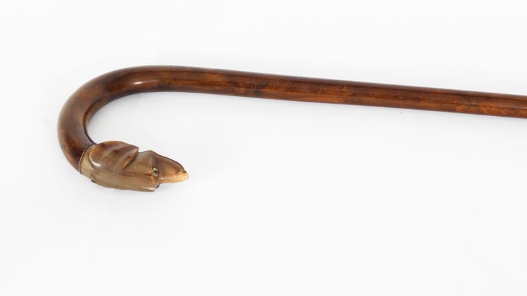 Antique Walking Stick Cane with Horn Dog Handle, Late 19th Century For ...