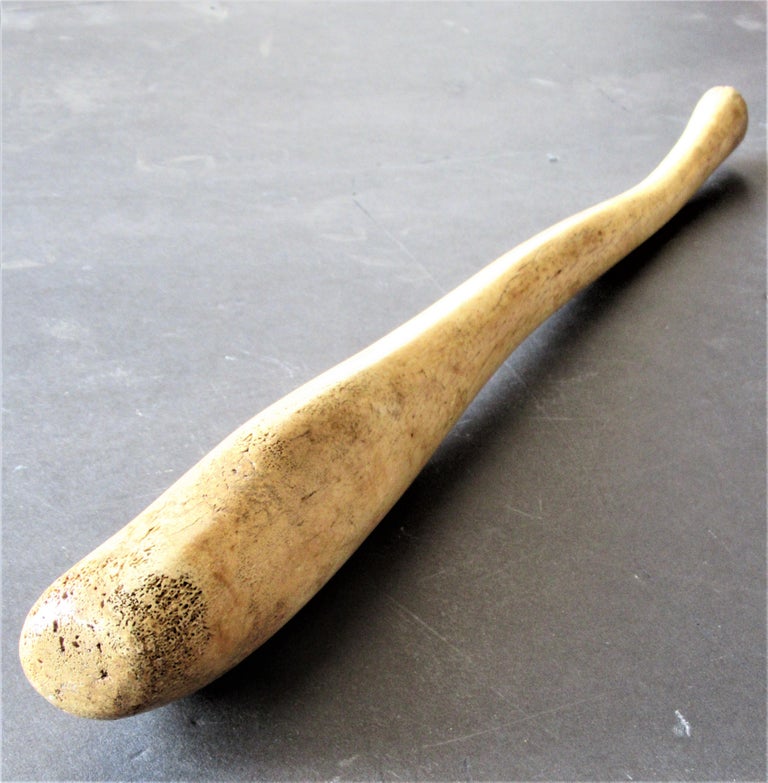 Antique Walrus "Oosik" Fossil Bone Specimen at 1stDibs