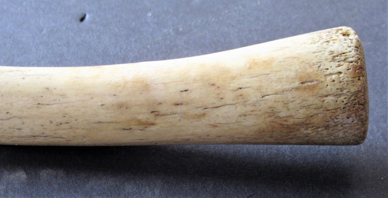 Antique Walrus "Oosik" Fossil Bone Specimen at 1stDibs