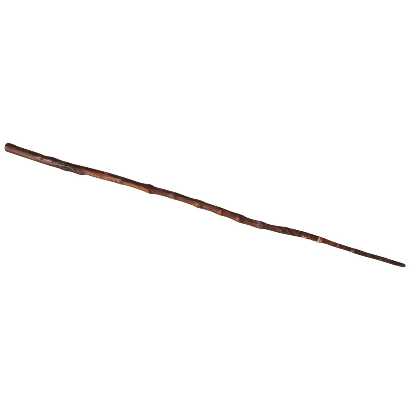 Antique and Strong Real Branch Wood Walking Stick or Cane at 1stDibs ...