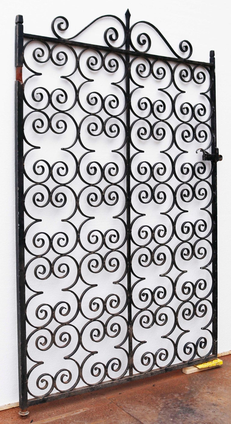 Antique Wrought Iron Scrolled Gate at 1stDibs