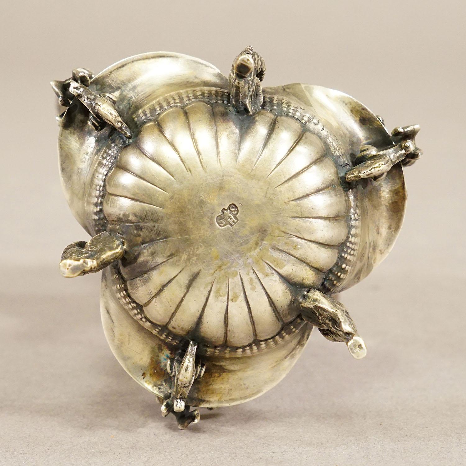 Antique Wunderkammer Installation of a Ammonite with Silver Mounting ...